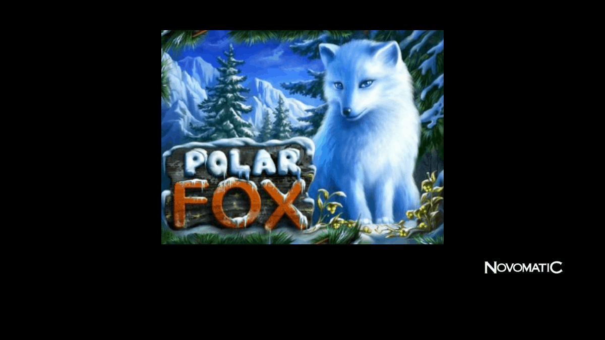 Polar Fox Slot Machine – Gioca Gratis Online